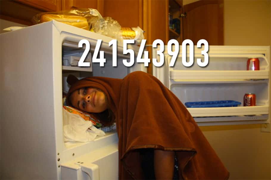 Como surgiu o meme da cabeça no congelador e o código 241543903?