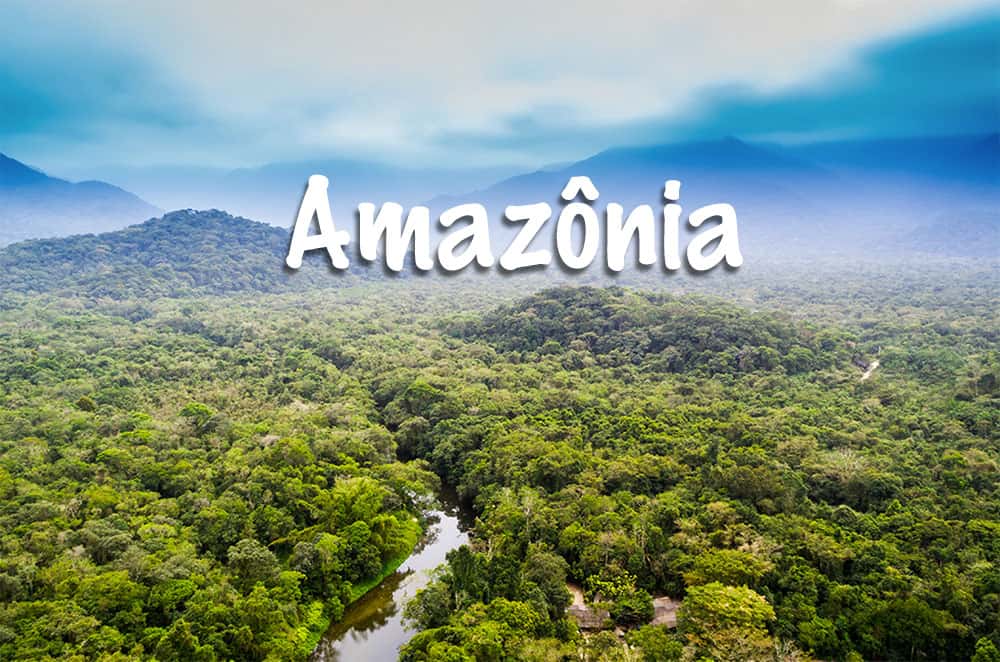 Qual é a real importância da Amazônia para o Mundo?